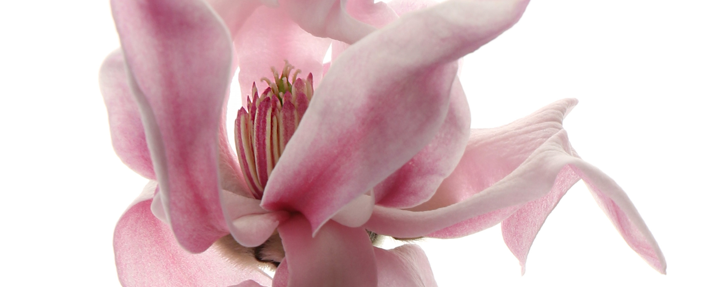 Discovering the Original You - INTENSELY PERSONAL